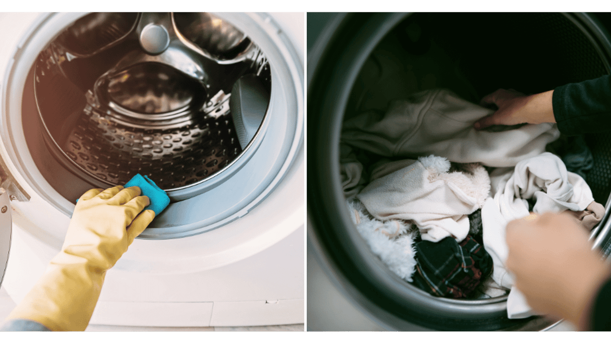 Woman shares washing machine warning after discovering black mould ...