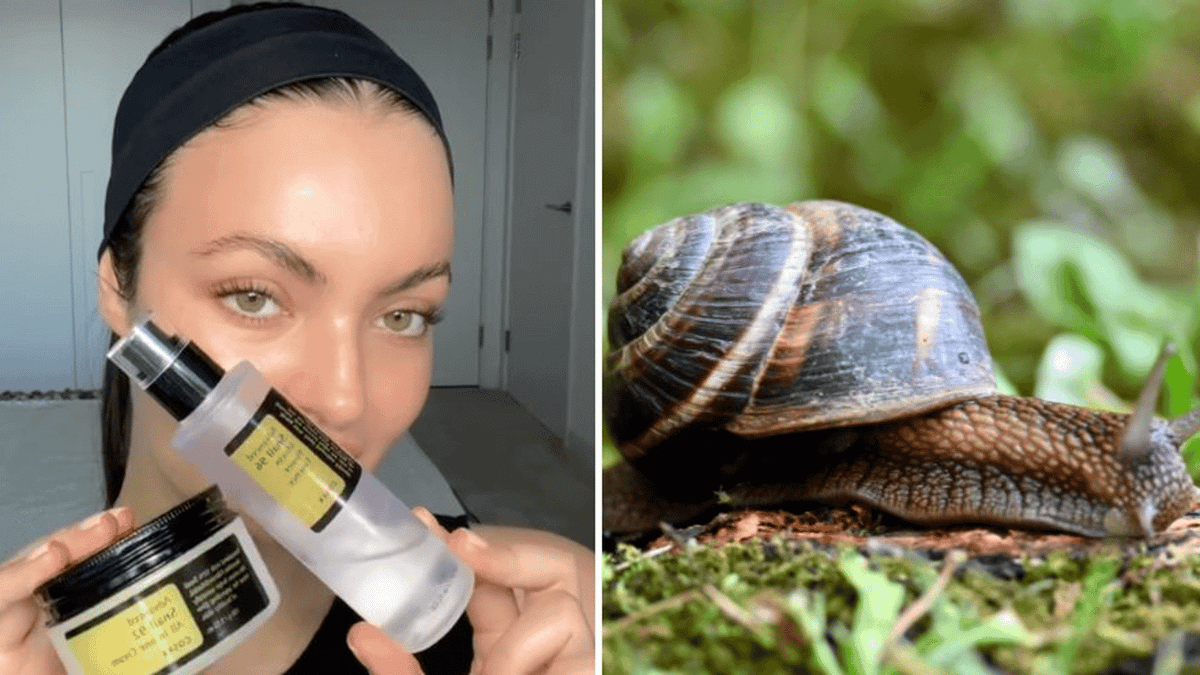 Women credit snail slime for 'glowing skin' and now they can't live ...