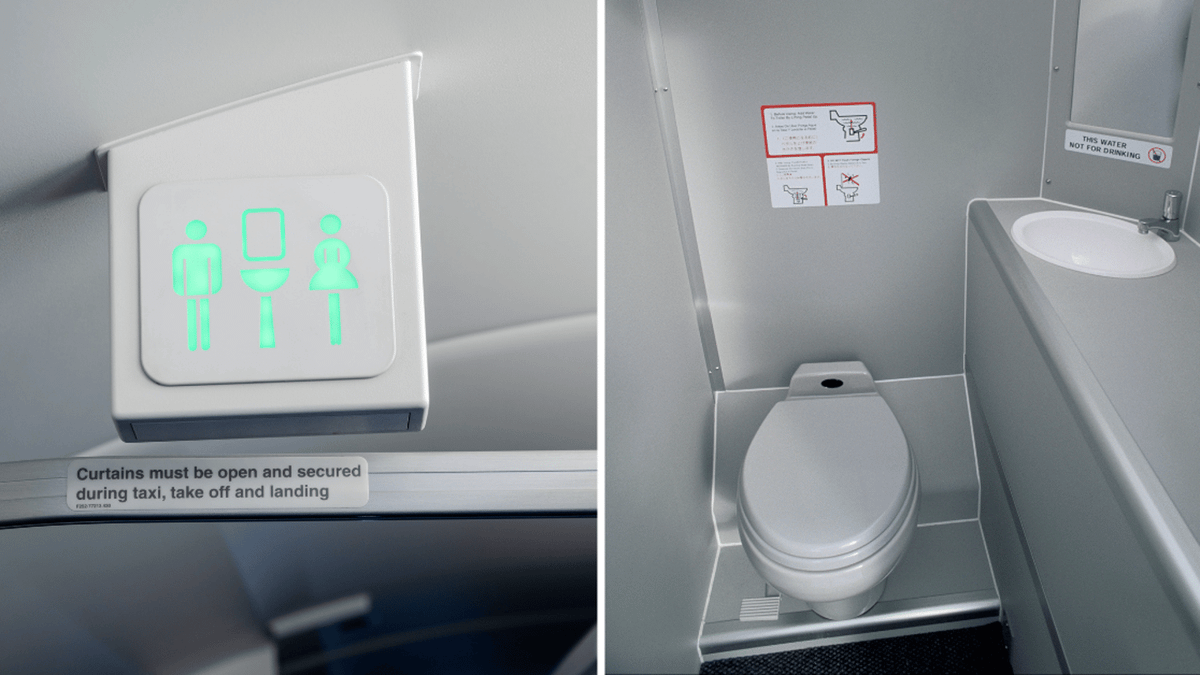 Experts reveal one thing you should never do in an aeroplane toilet and ...