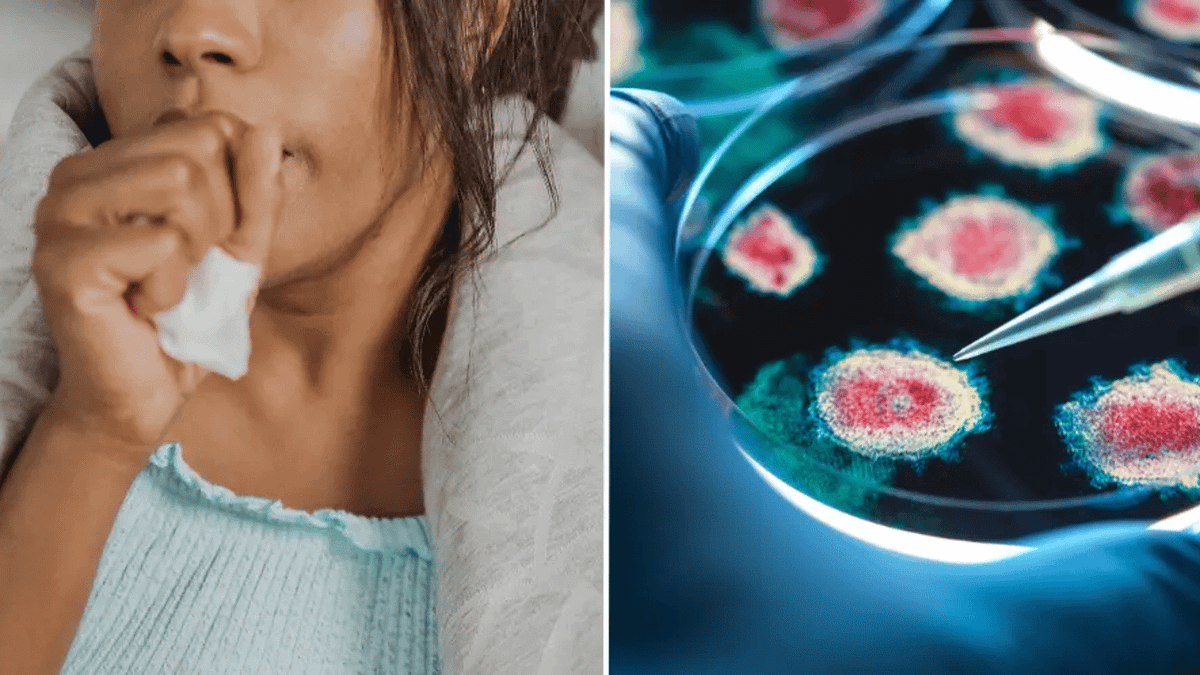 'Quad-demic' warning issued to Brits as cases of winter bugs surge ...
