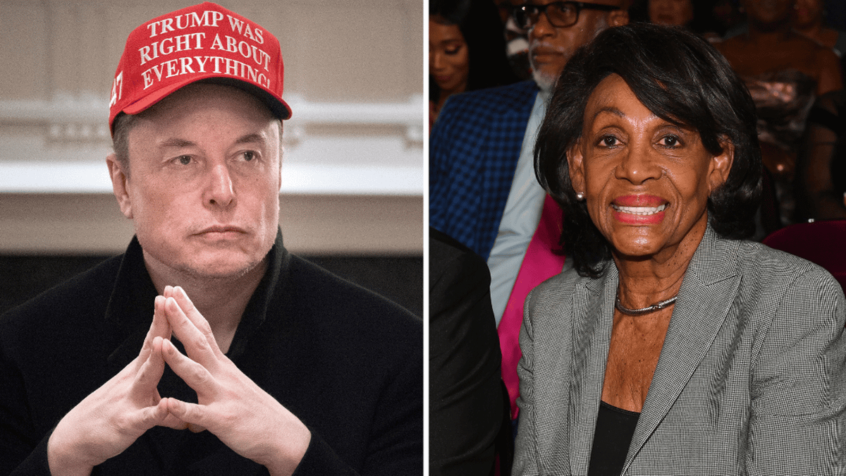 Elon Musk's threat to Maxine Waters after she asked US Government to ...