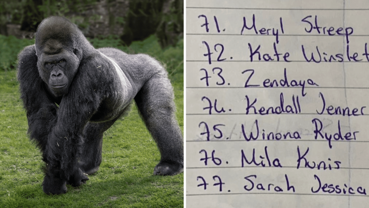 100 women have been 'selected' to fight one gorilla and people can’t ...