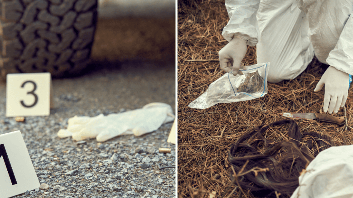 True crime psychologist reveals heartbreaking 'real reason' women are ...