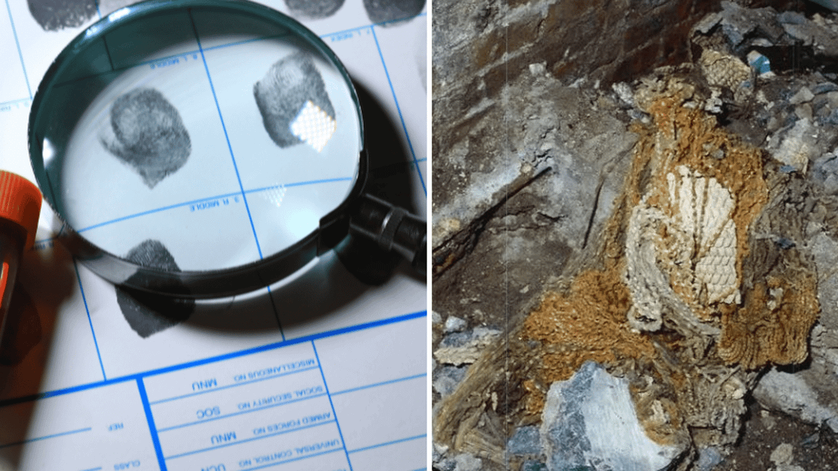 Body of teen found encased in cement 20 years ago finally identified ...