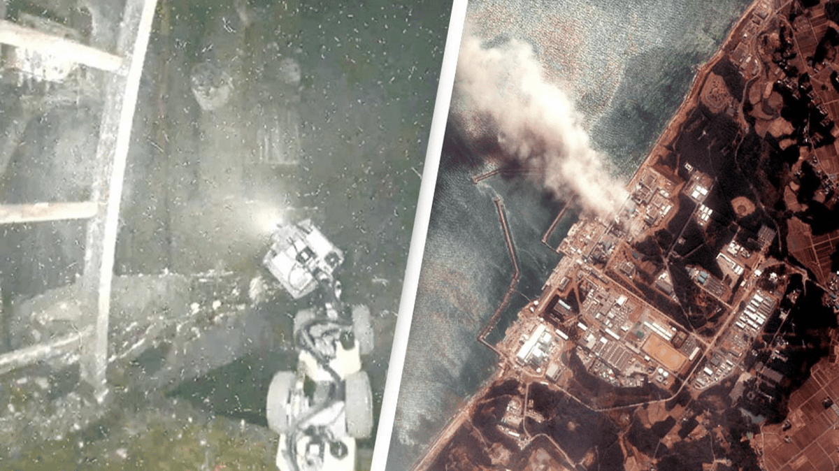 First images from inside the ruins of Fukushima's nuclear reactor show ...