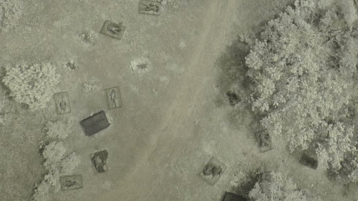 Extremely creepy aerial view shows dead bodies in cages at ranch which ...