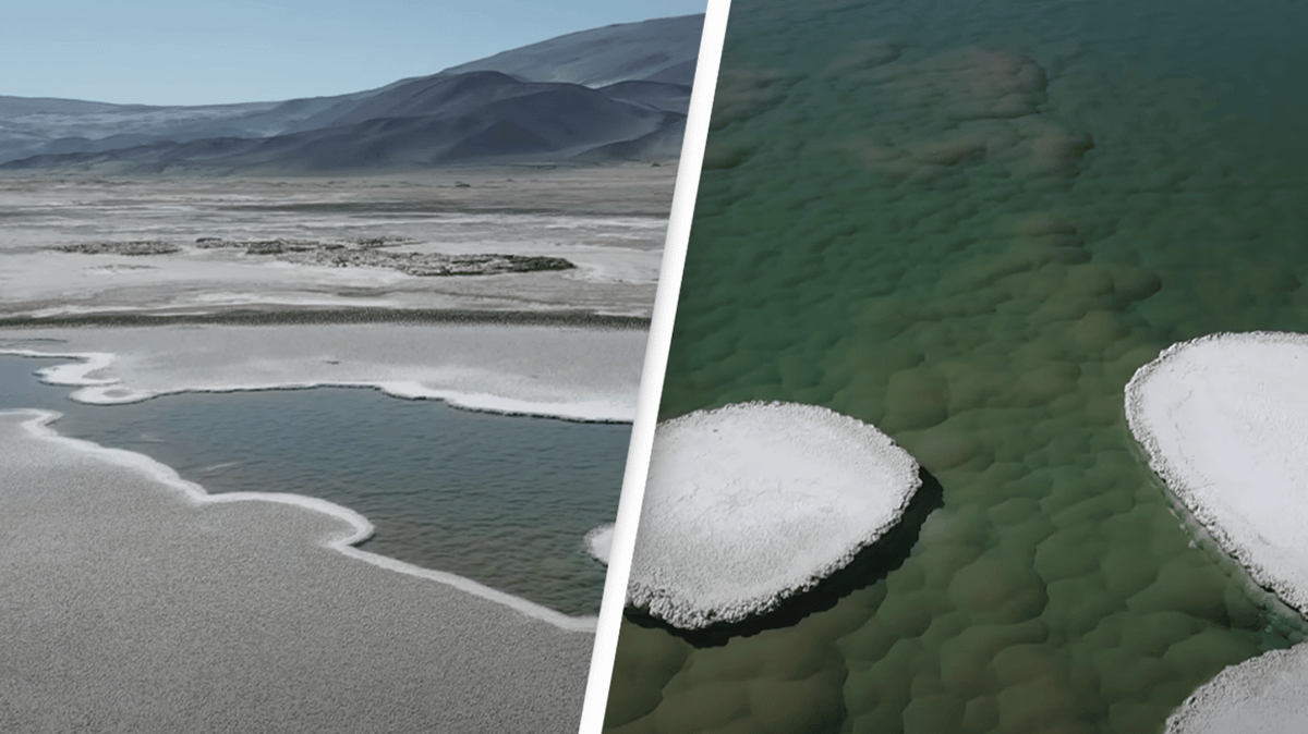 Unknown ‘lost world’ could be closest surviving time capsule of Earth 3 ...