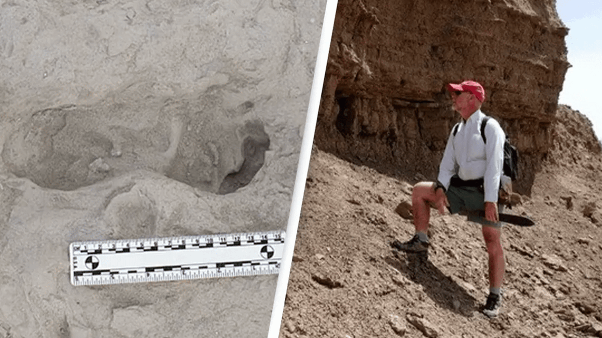 Scientists discover 1,500,000-year-old footprints that proves 'exciting ...