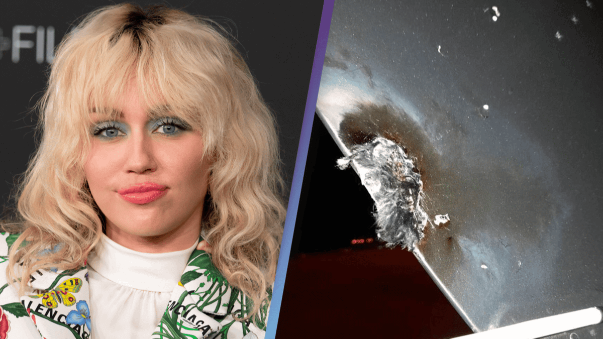 Miley Cyrus' Plane Struck By Lightning And Forced To Make Emergency Landing