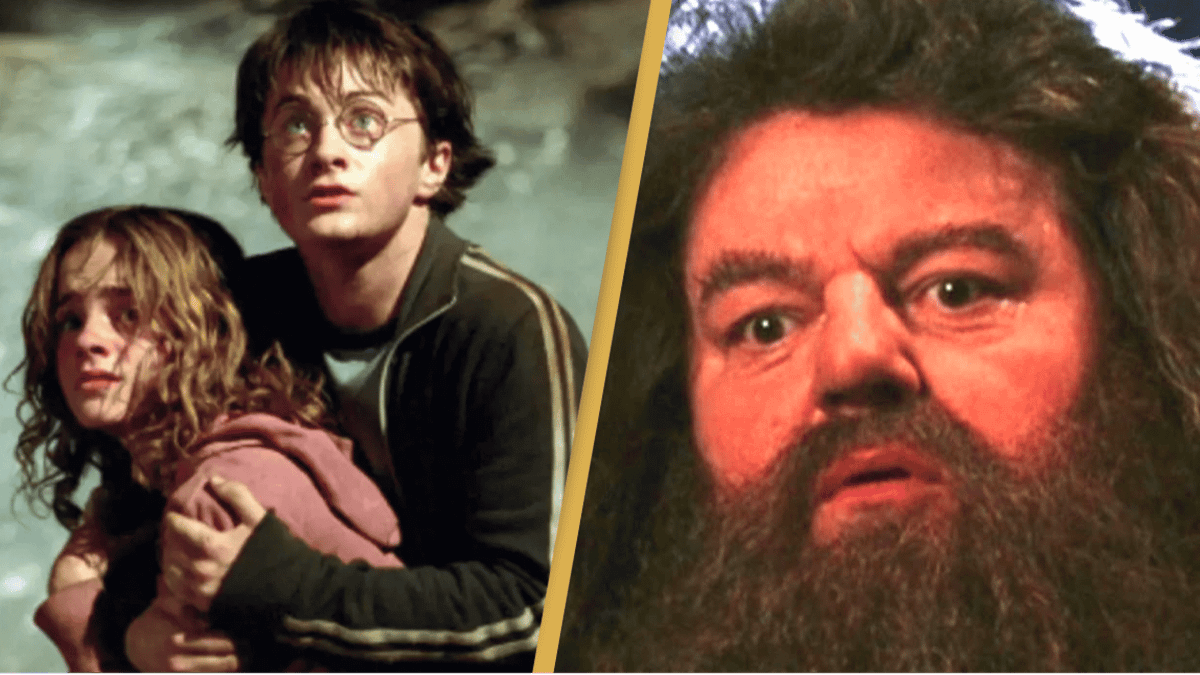 People Have Spotted A Secret Sex Scene In The Harry Potter Films