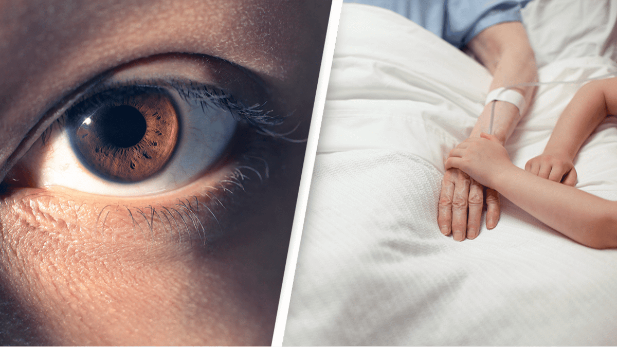 US Scientists brought back to life human eyes that died just five hours ...