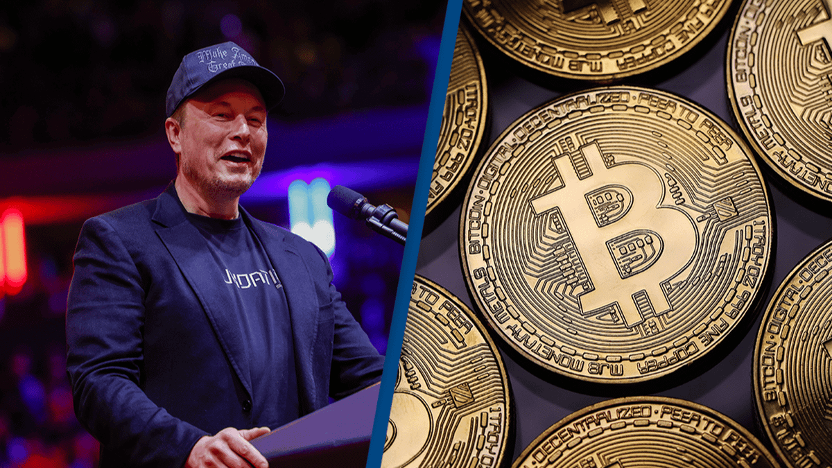 Elon Musk fans have lost millions of dollars in cryptocurrency scams ...