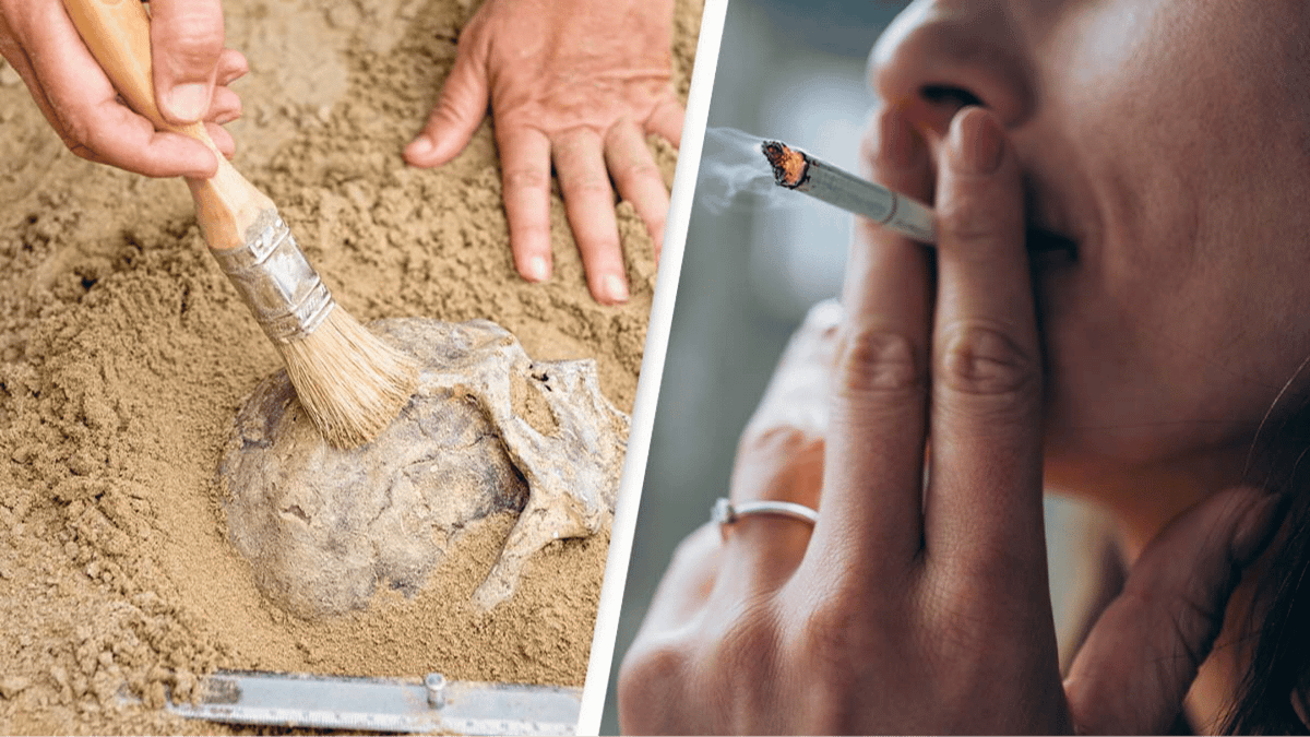 Scientists reveal shocking changes smoking does to your body after ...
