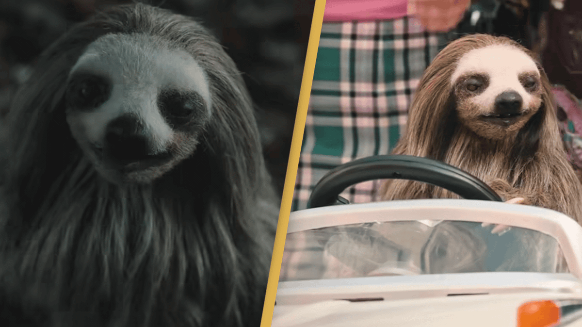 New trailer for 'killer sloth' horror movie Slotherhouse leaves people ...