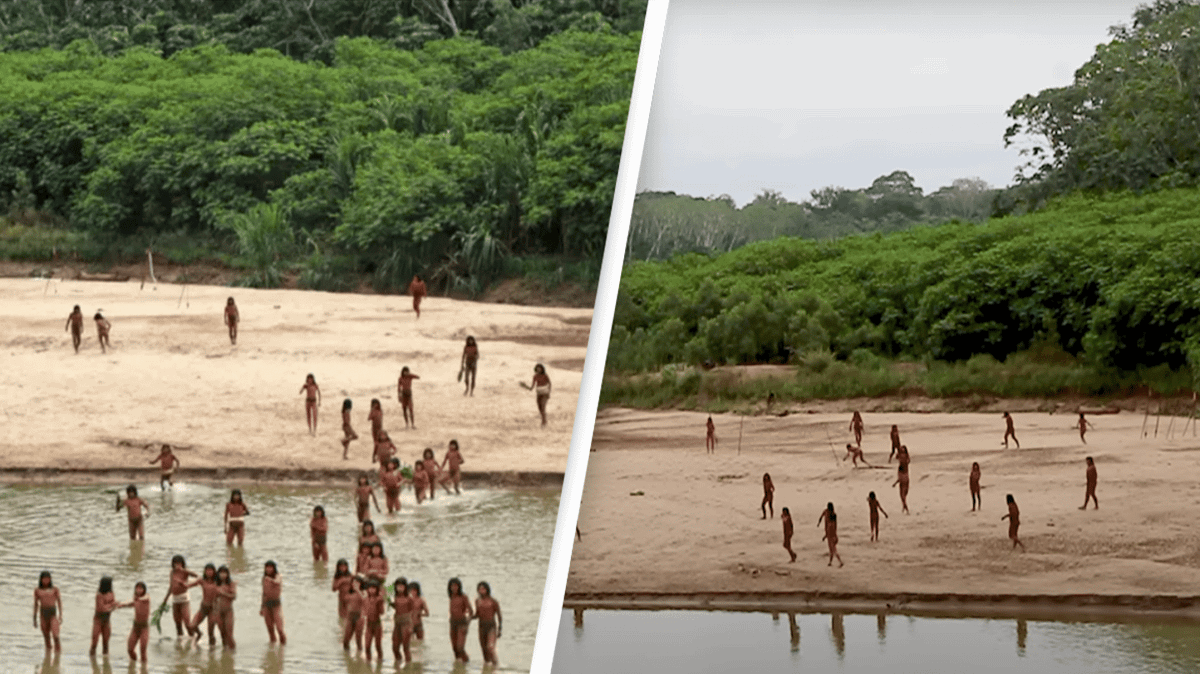 Uncontacted Amazon tribe attack intruding loggers with arrows in ...