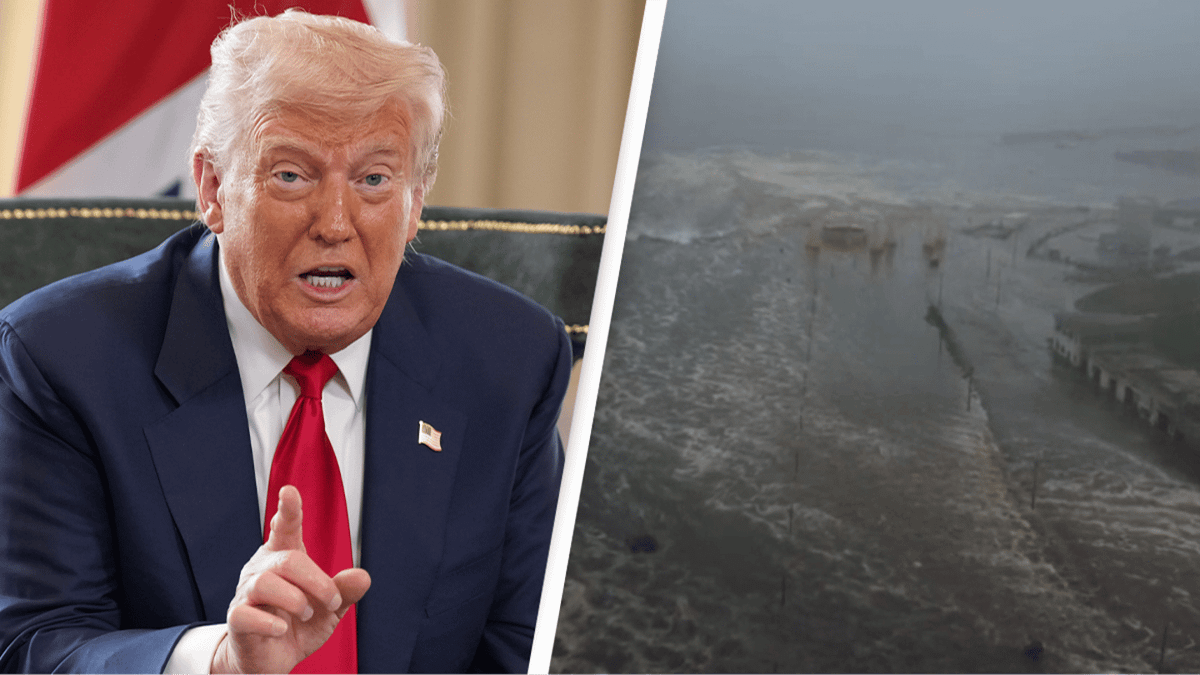 All the US government advice to survive tsunami after Trump issues ...