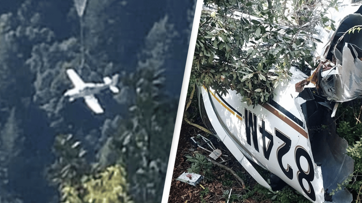 Couple and two-year-old daughter survive plane crash after quick ...