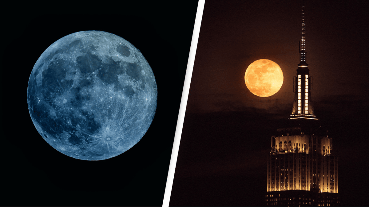 Extremely rare ‘Blue Supermoon’ will be the brightest of the year to ...