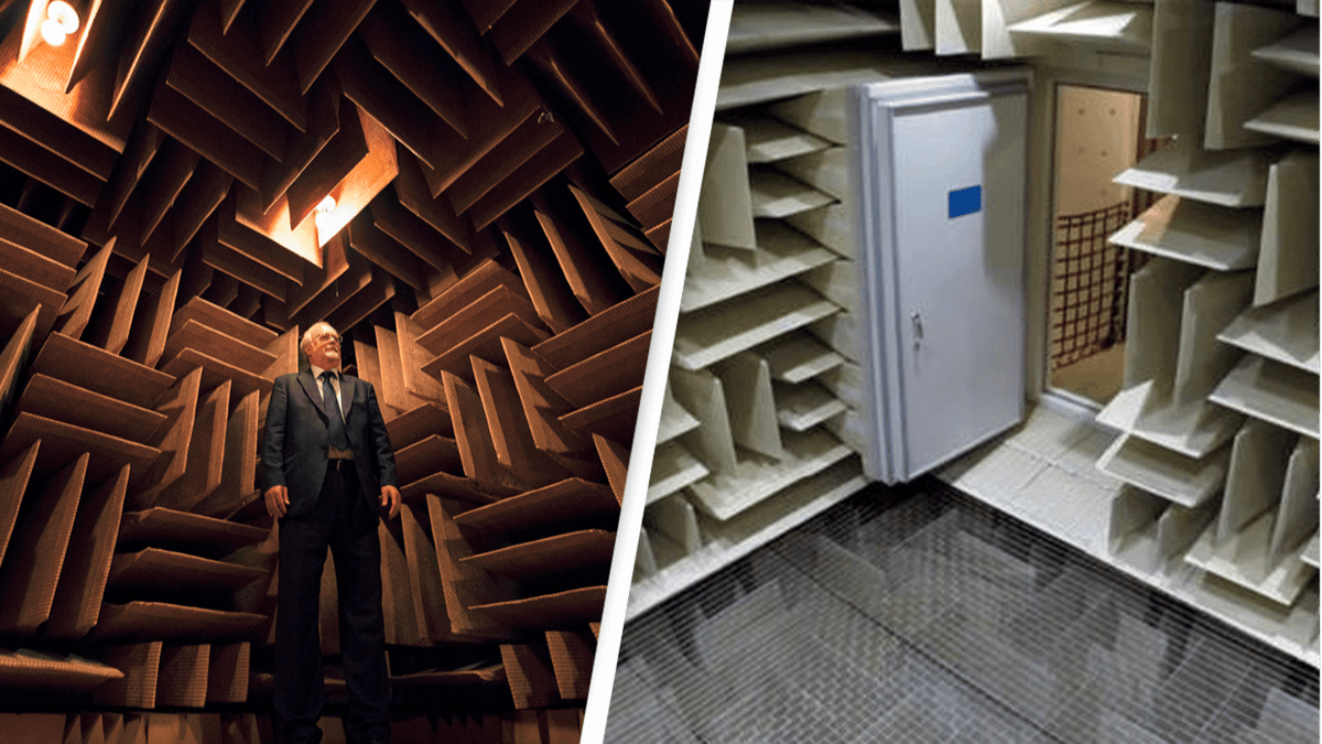 Inside quietest place on earth where no one has lasted longer than 55 ...