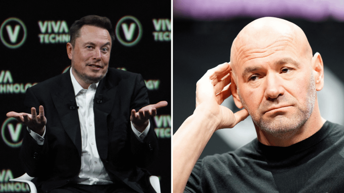 Elon Musk receives training offer from UFC star ahead of fight with ...