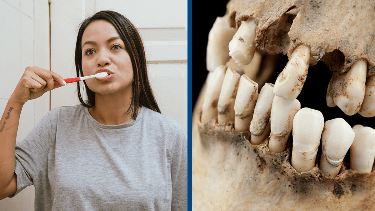 How people cleaned their teeth before toothpaste was invented is not ...