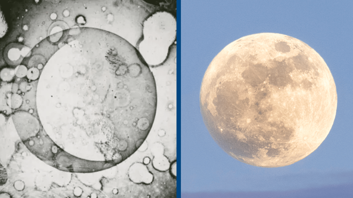 The 'oldest surviving photograph of the Moon' is drastically different ...