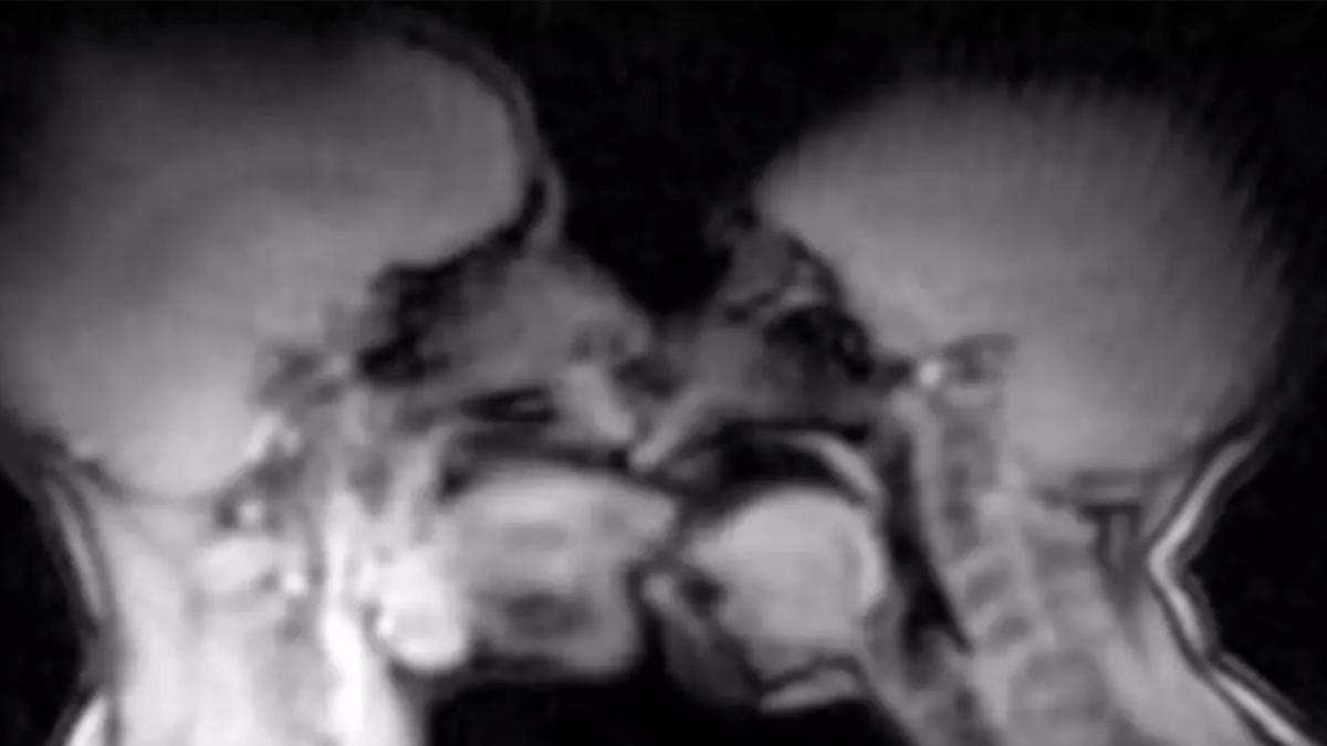 One detail leaves scientists baffled after couple had sex in MRI scan ...