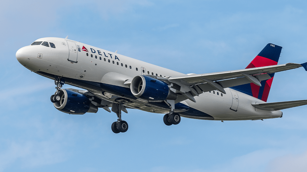 Passengers left in shock as federal agents storm the cockpit of Delta ...