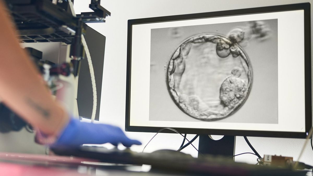 Groundbreaking discovery could mean babies are born without biological ...