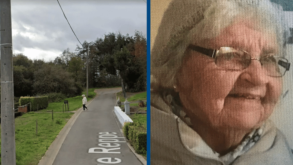 Haunting Google Maps image helped solve mystery of missing woman who ...