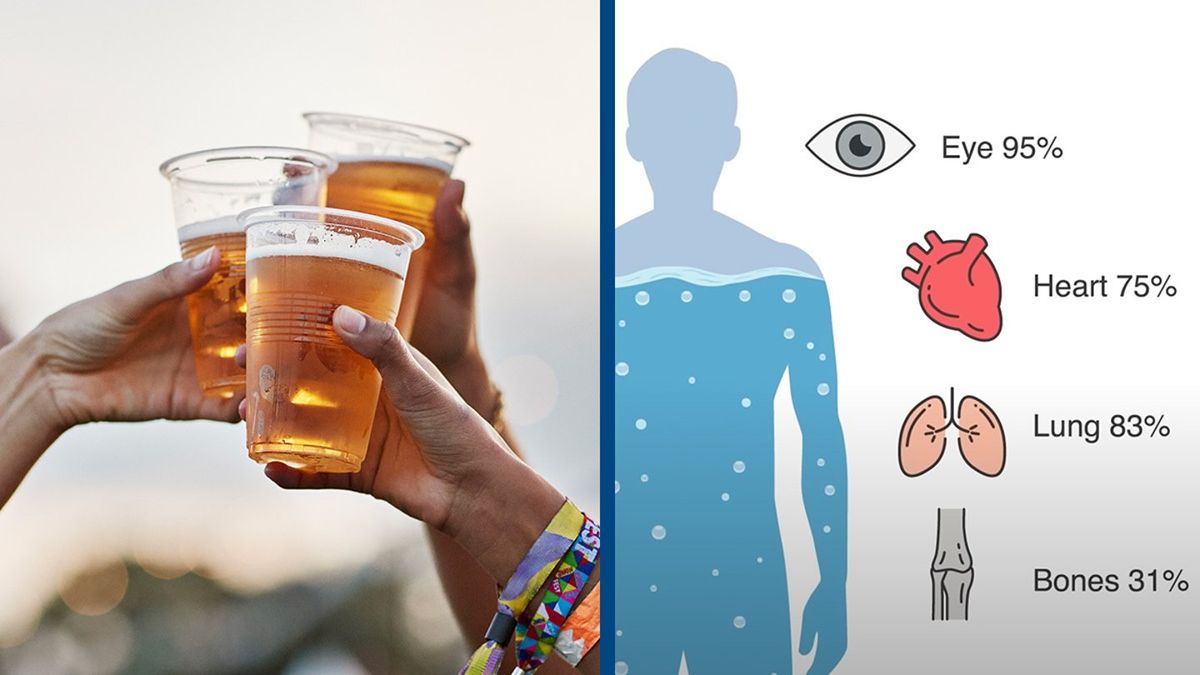 Fascinating simulation shows what happens to your body when you stop ...