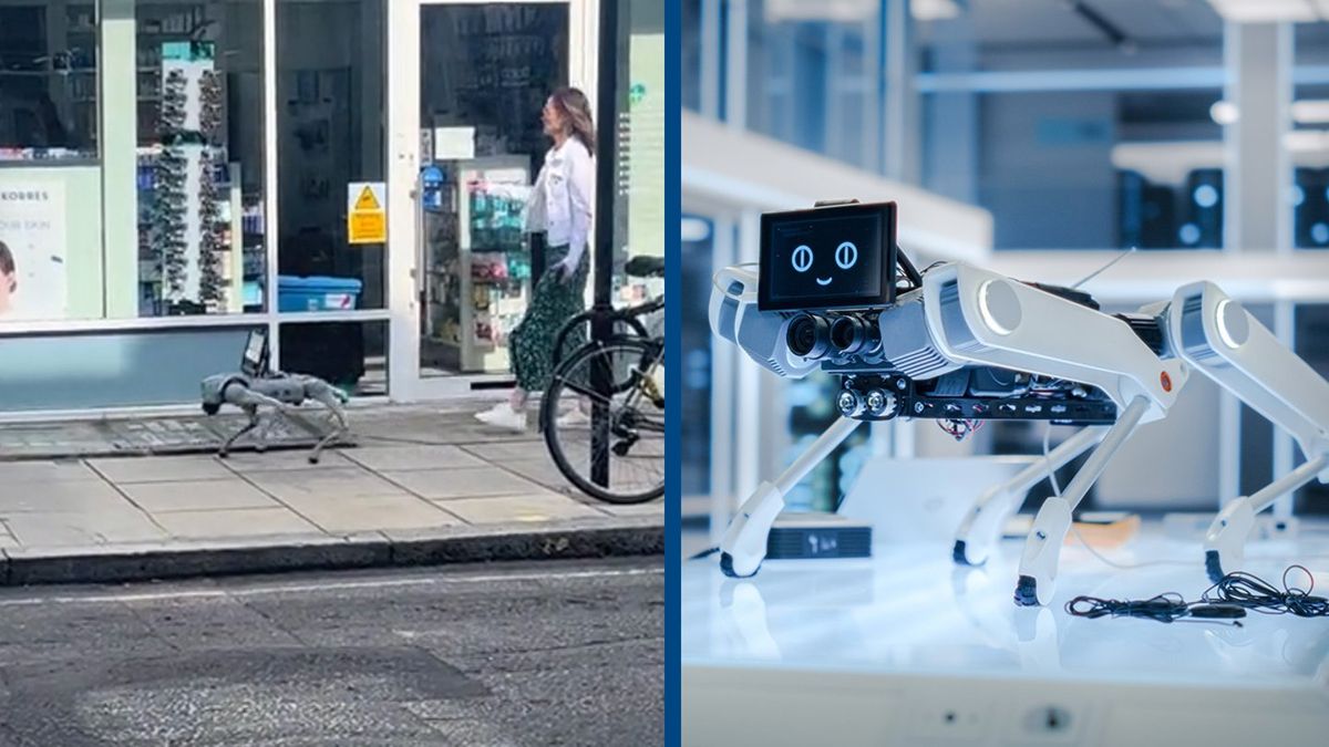 Dystopian footage of robo dog walking down London street is being ...