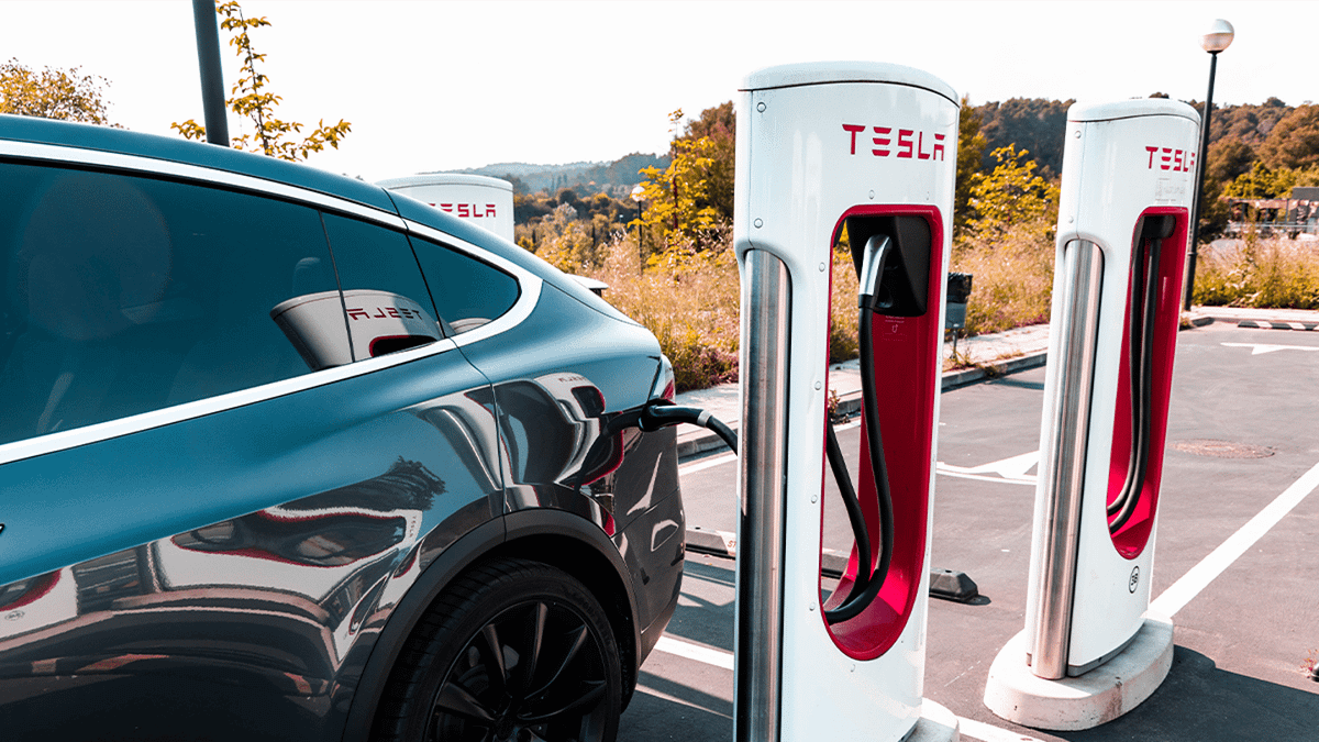 Elon Musk's Tesla lose $243 million in deadly crash case as they vow to ...