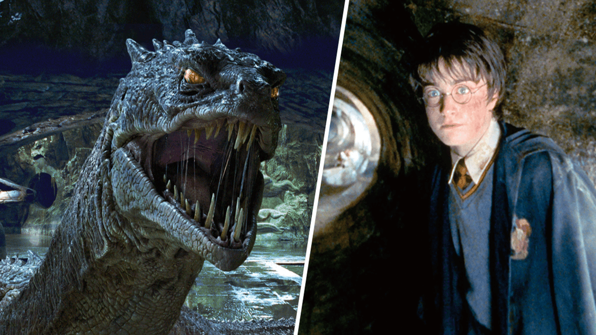 Harry Potter And The Chamber Of Secrets Snake Harry Potter And The