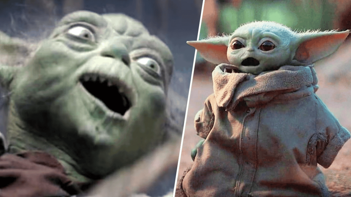 Star Wars fans convinced they've worked out Grogu's father, and it's ...