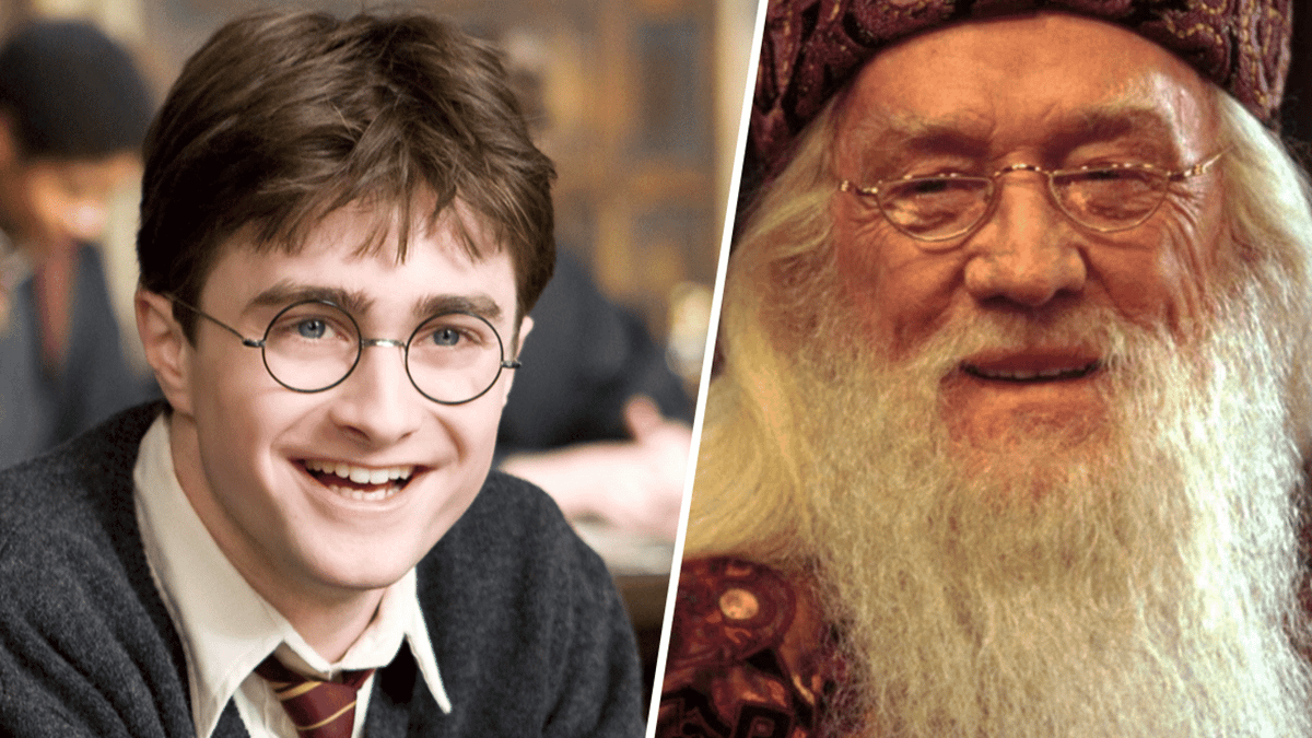 Harry Potter fans praise 'perfect' Dumbledore casting in HBO series