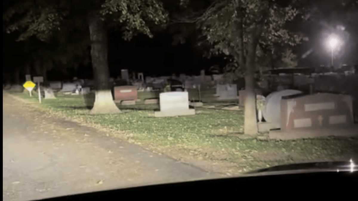 Man drives through cemetery in Tesla and makes terrifying discovery on ...