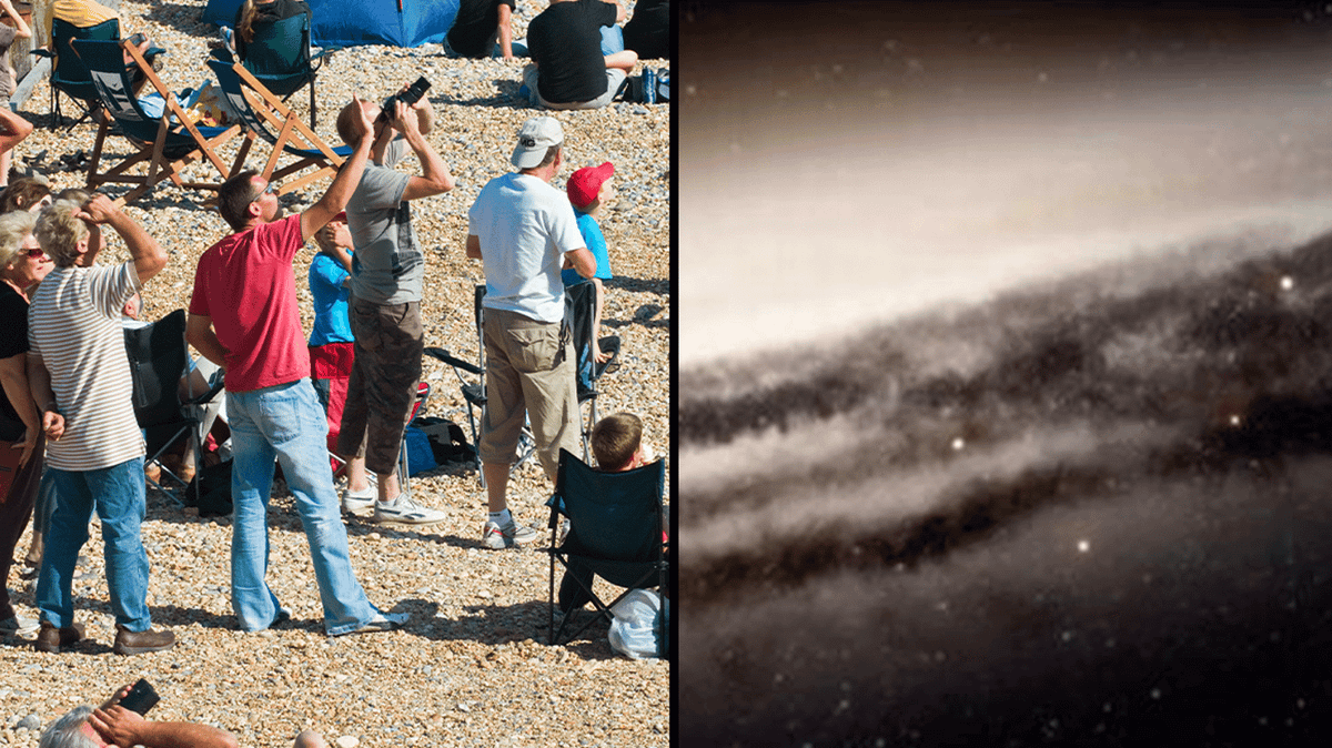 ‘Time traveller’ makes eerie prediction about people ‘falling from the ...