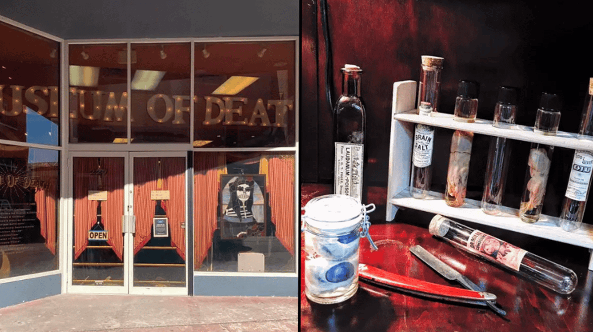 The Museum of Death has a tally to keep track of visitors who vomit or ...