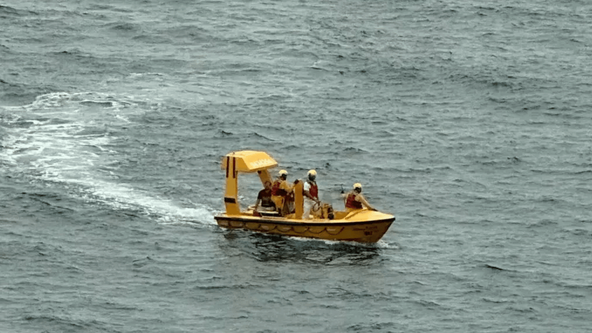 Disney cruise passengers reveal terrifying sound they heard as girl ...