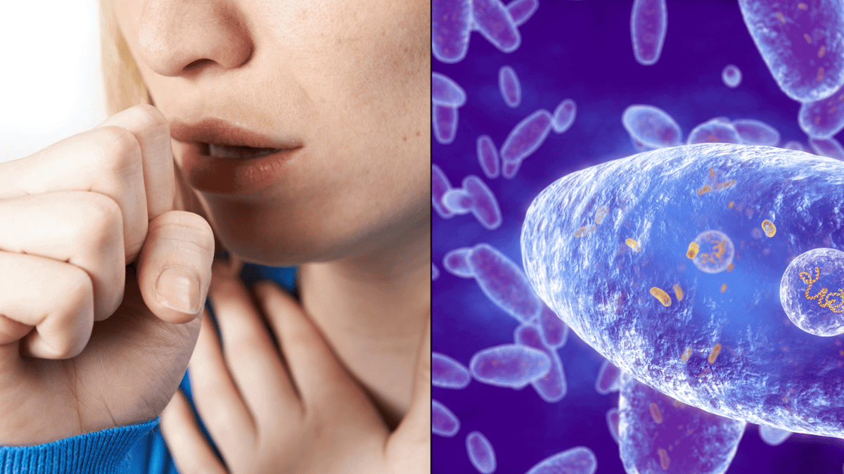 NHS issues official guidance in response to rising cases of whooping cough