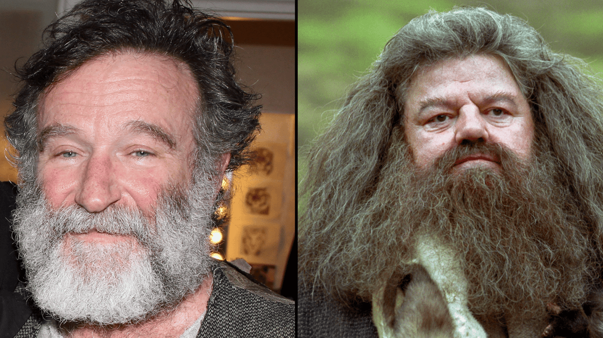 Robin Williams was turned down from playing Hagrid in Harry Potter due ...