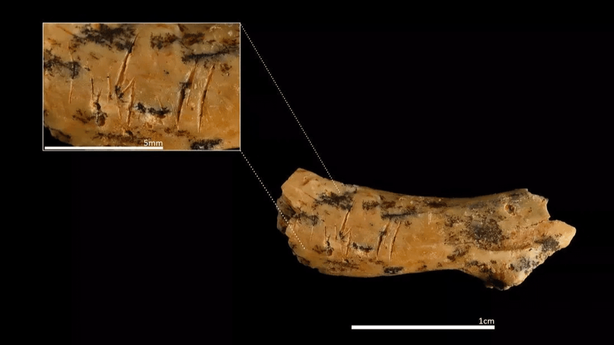 Horrifying evidence of ancient humans cannibalising children emerges as ...