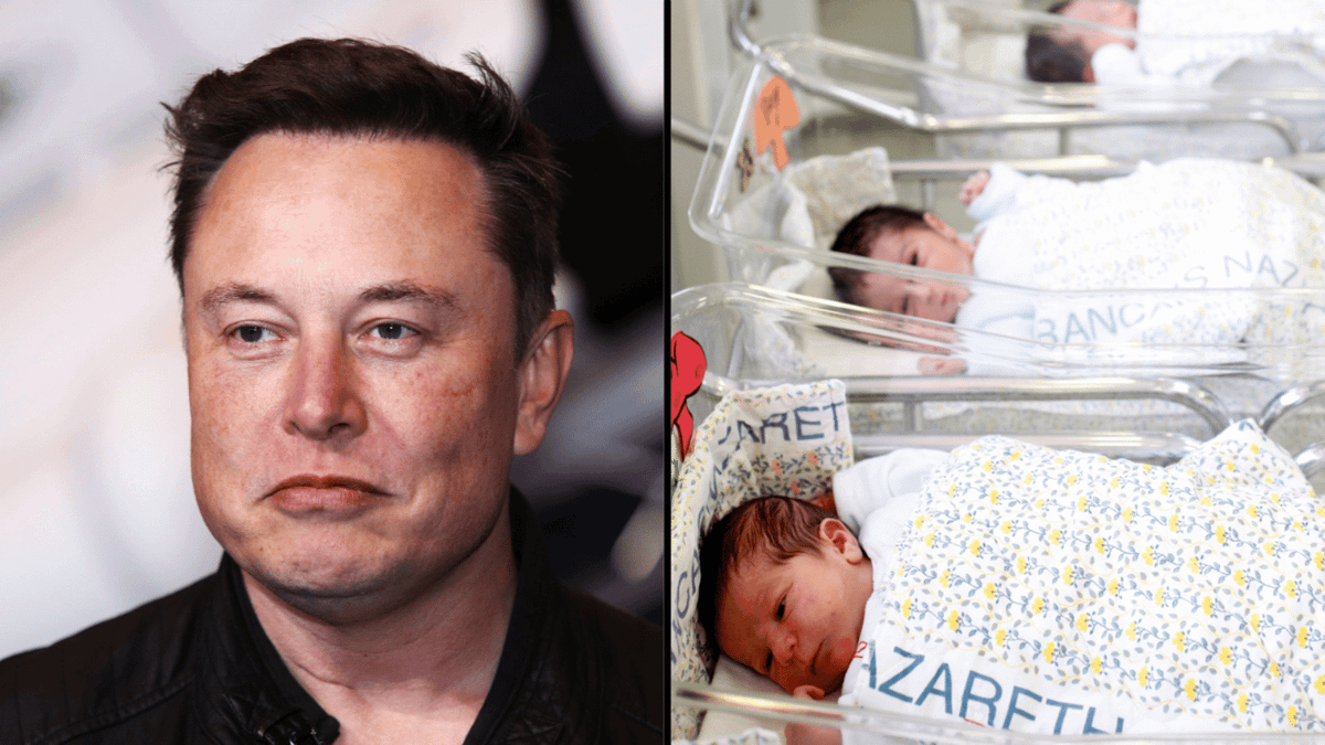 Elon Musk says a low global birth rate is far more serious than global ...
