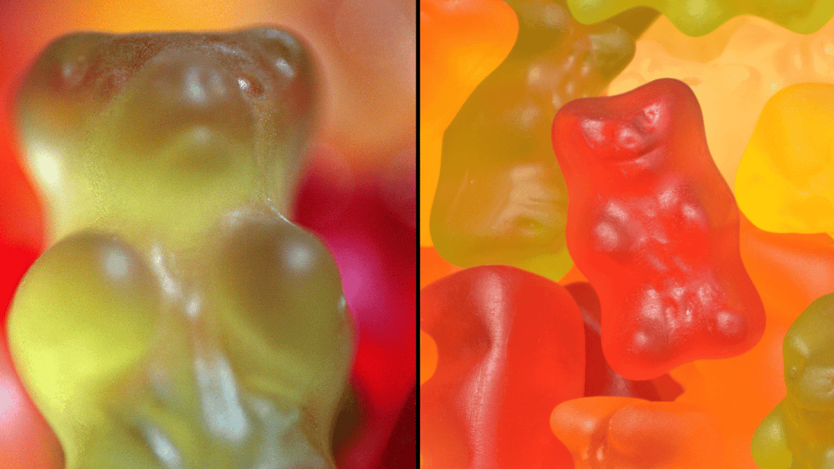 Haribo fans horrified to learn real flavour of green gummy bears ...