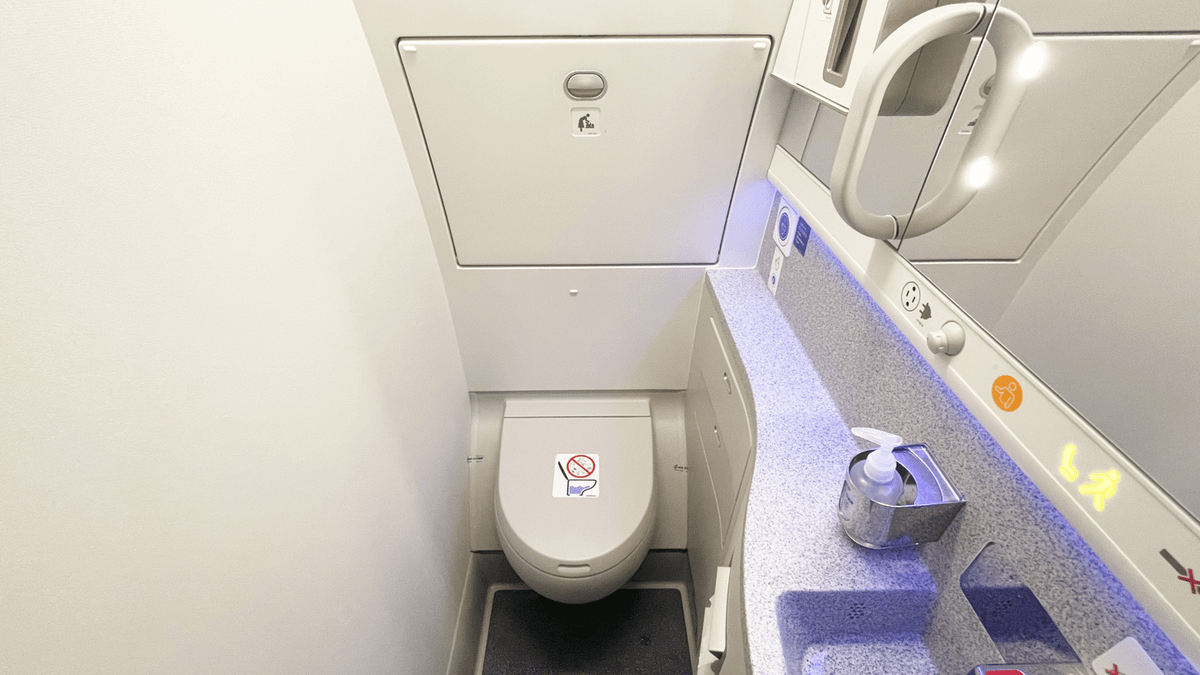 Pilot 'pulled passenger out of toilet whilst he still had his pants ...