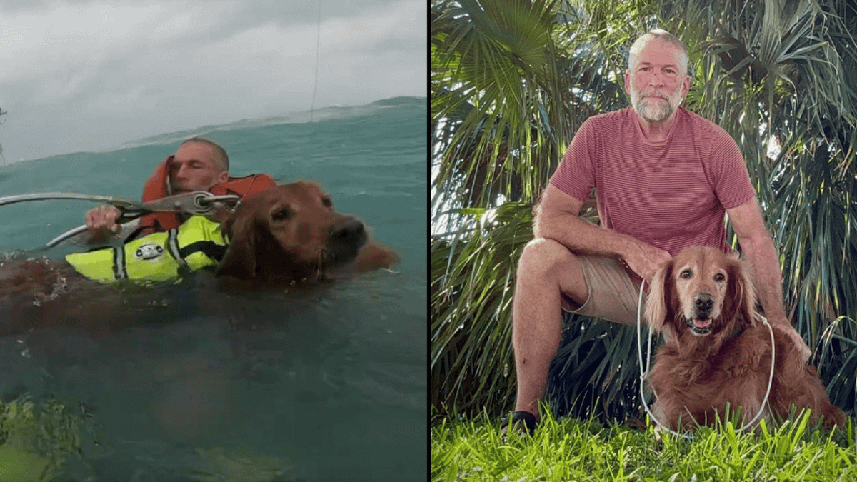Sailor who gave chilling message to dog as they sank faces 'huge ...