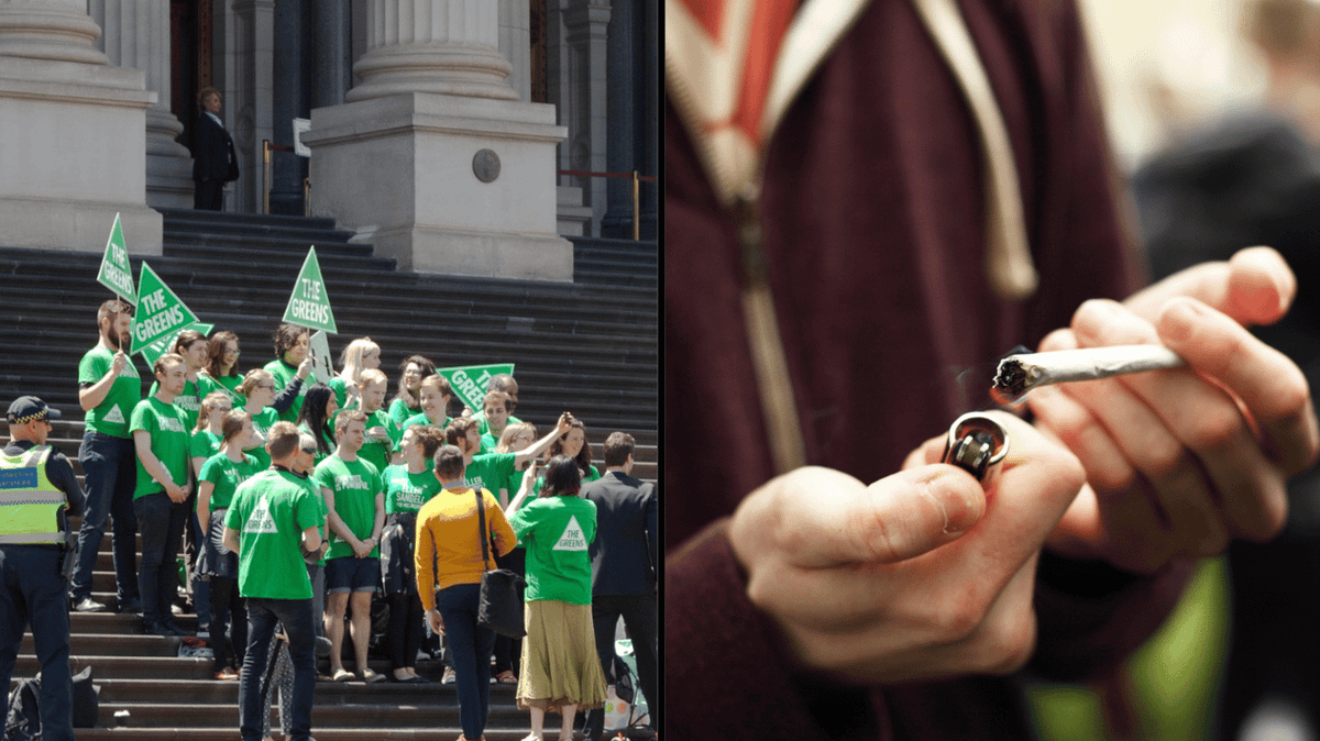 Victorian Greens want weed legalised in the state and taxed just like ...