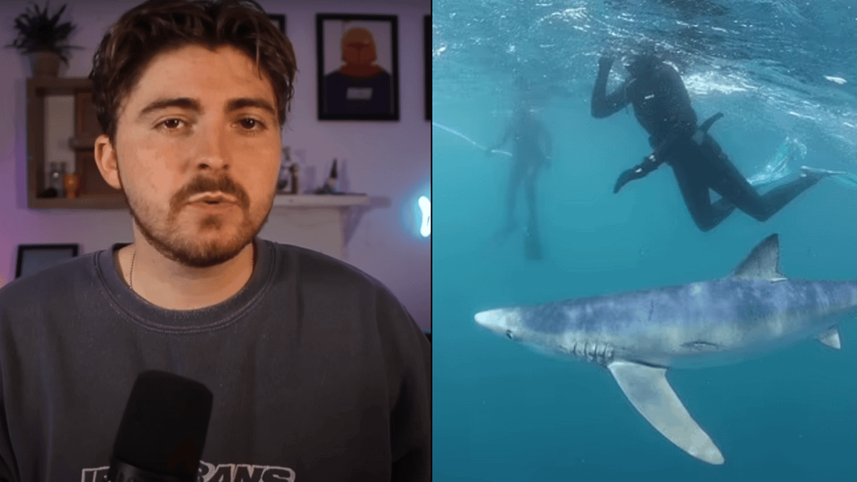 Scientist explains why woman was bitten in Britain's first shark attack ...