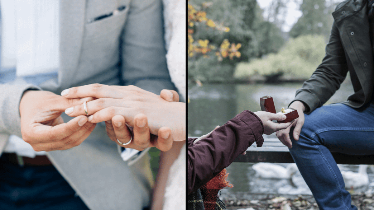 Professional proposal planner says there are signs that prove a ...